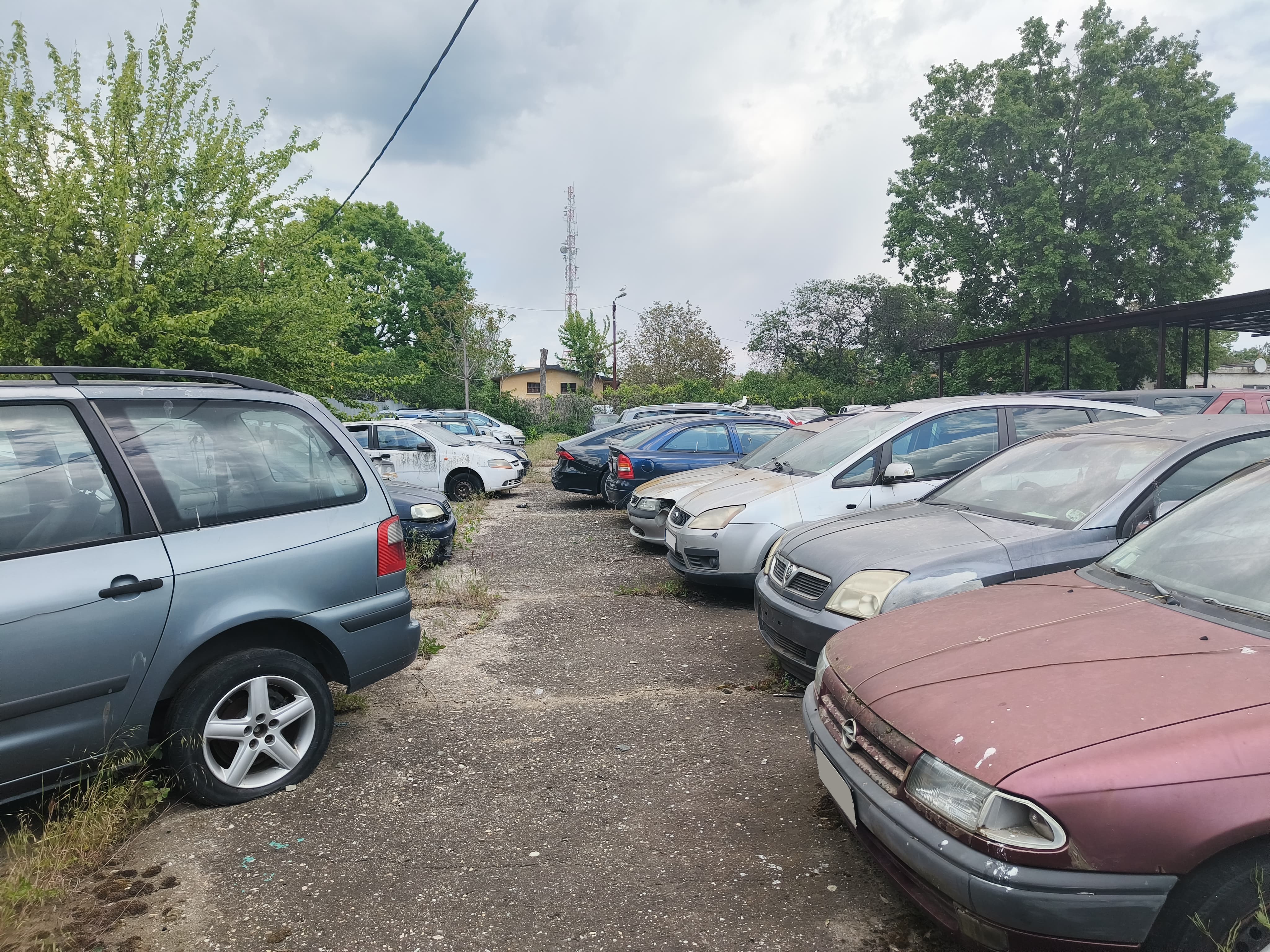 Parcul auto al Gărzii de Coastă, un adevărat muzeu al ...
